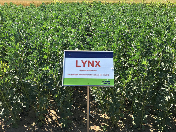 LYNX | Norddeutsche Pflanzenzucht Hans-Georg Lembke KG